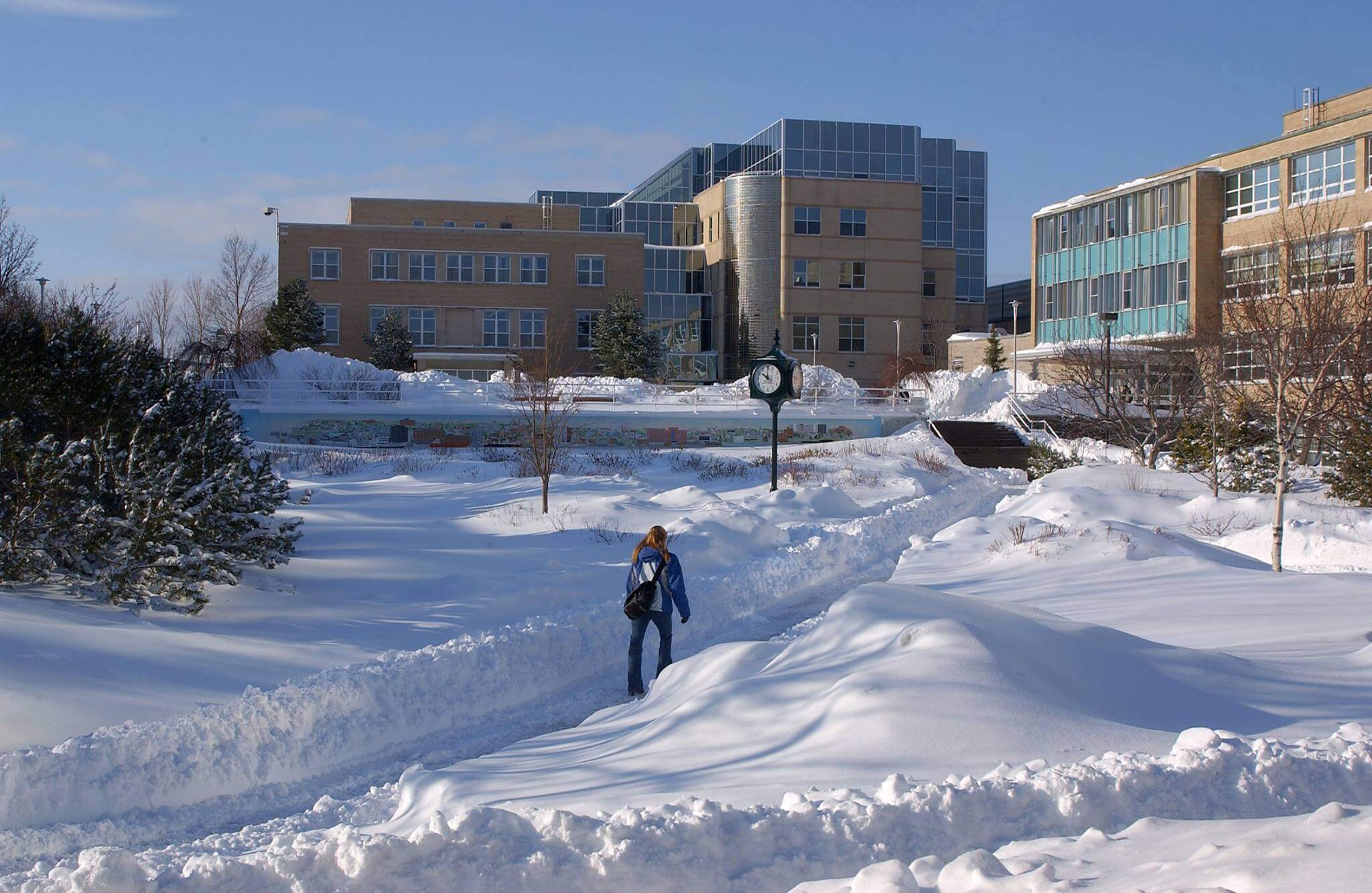 Newfoundland University